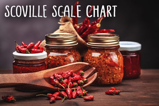 scoville-scale-chart-home-page – Scott Roberts Hot Sauce, BBQ and Spicy ...